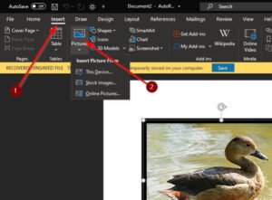 How to put a border around an image using Word