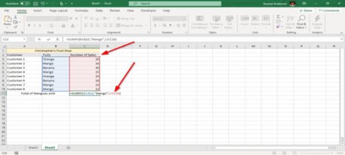 How to use SUMIF and SUMIFS Functions in Excel