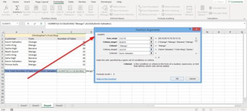 How to use SUMIF and SUMIFS Functions in Excel