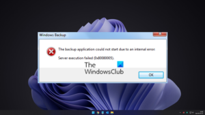 Windows Backup Server execution failed (0x80080005)