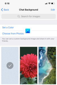 How to change chat background in Telegram