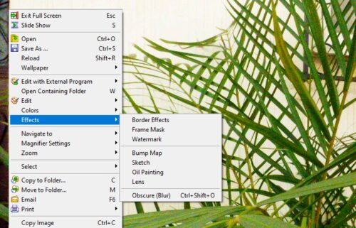 How to open RW2 files in Windows 11