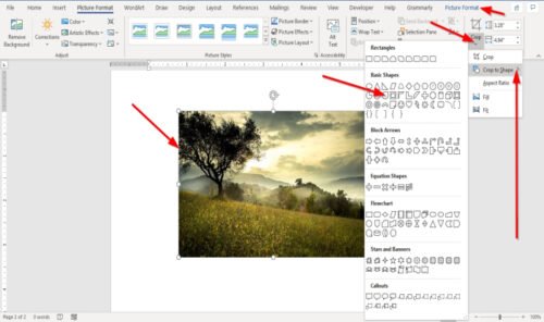 How to insert a Picture into a Shape in Word