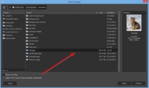 How to remove the Background from a Photo using GIMP
