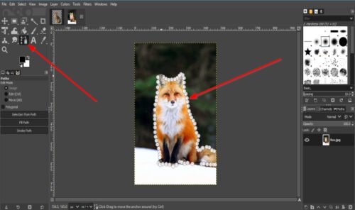 How to remove the Background from a Photo using GIMP