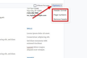 How to use Header, Footer, and Footnote in Google Docs