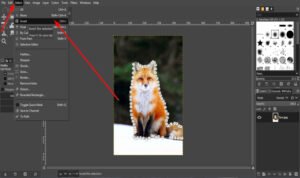 How to remove the Background from a Photo using GIMP
