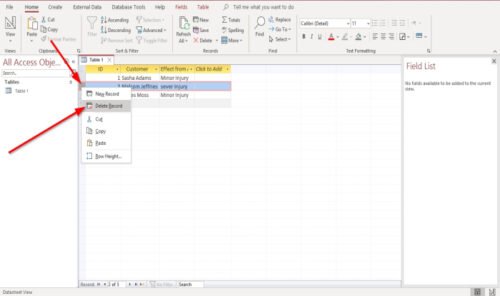 How to add, delete records and resize columns in Access datasheet