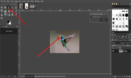 How to remove the Background from a Photo using GIMP