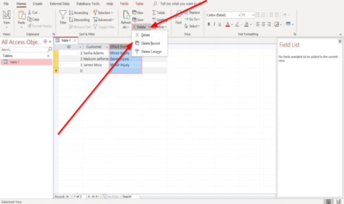 How to add, delete records and resize columns in Access datasheet