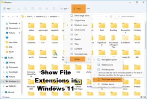 How to show File Extensions in Windows 11