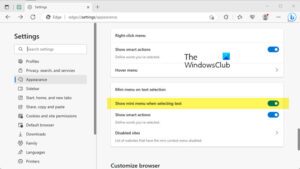 Enable or Disable Mini Menu when selecting text in Microsoft Edge