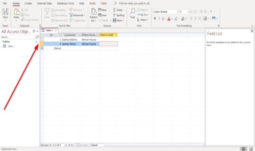 How to add, delete records and resize columns in Access datasheet