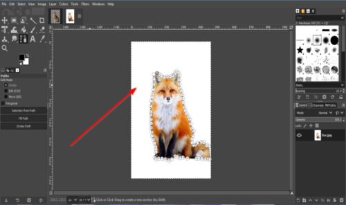 How to remove the Background from a Photo using GIMP