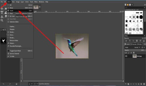 How to remove the Background from a Photo using GIMP
