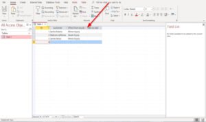 How to add, delete records and resize columns in Access datasheet
