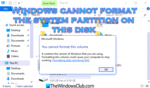 Windows cannot format the system partition on this disk