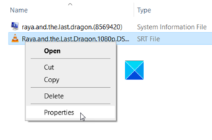 How to open SRT Files in Windows 11?
