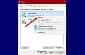 External Microphone being recognized as Headphones in Windows