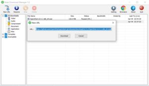 Neat Download Manager for Windows will speed up your downloads