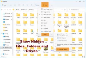 How to show Hidden Files and Folders in Windows 11