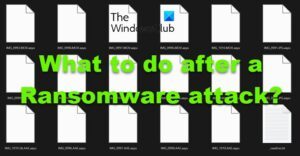 What to do after a Ransomware attack on your Windows computer?