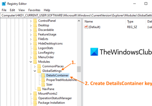 How to show Details pane in File Explorer in Windows 11/10