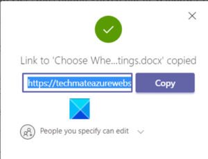 How to share a Protected File in Teams