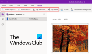 How to Rotate and Crop a Picture in OneNote
