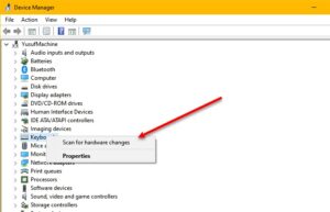 USB Keyboard not recognized on all ports in Windows 11