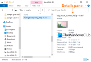How to show Details pane in File Explorer in Windows 11/10