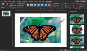 How to split a picture into pieces in PowerPoint