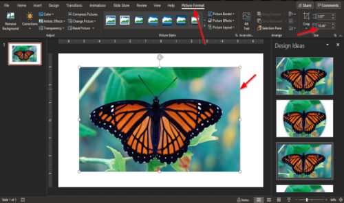 How to split a picture into pieces in PowerPoint