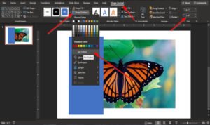 How to split a picture into pieces in PowerPoint