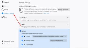 How to View and Manage Credit Card details in Chrome or Firefox