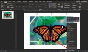 How to split a picture into pieces in PowerPoint