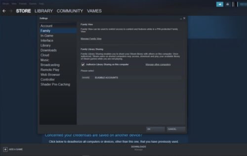 How to share Steam Games Library and play together