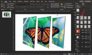 How to split a picture into pieces in PowerPoint