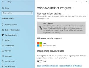 How to check if you are Flighting or on a Windows Insider Build?