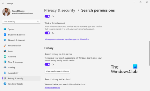 Search bar crashing or not working in Windows 11