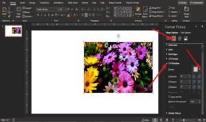 How to create an animated picture frame in PowerPoint