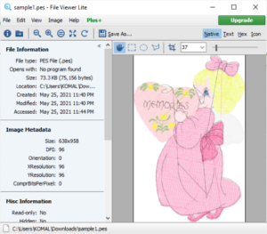 What is PES file? How to open and view PES file in Windows 11?