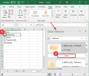 How to use Automatic Data Type feature in Excel