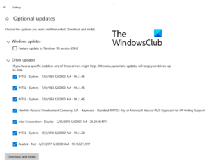 Keyboard typing wrong or random letters on Windows 11 [Fix]