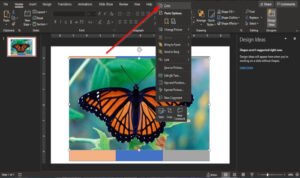 How to split a picture into pieces in PowerPoint