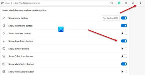 Enable Show Downloads Menu when a download starts in Edge