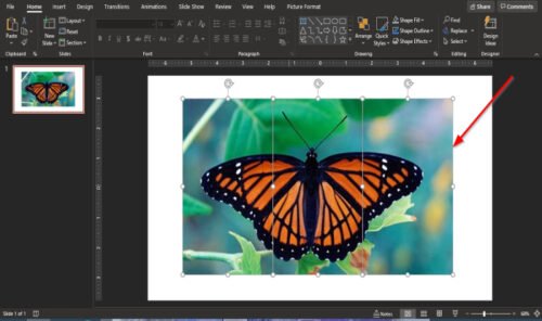 How to split a picture into pieces in PowerPoint