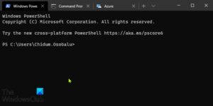 How to use Windows Terminal in Windows 11/10: Beginners Guide