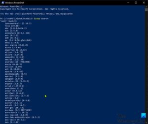 How to use Scoop package management tool on Windows 11