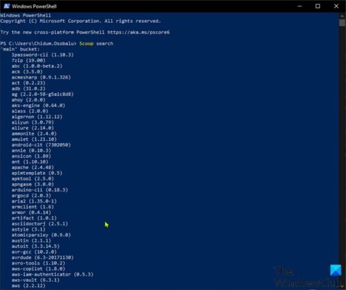 How to use Scoop package management tool on Windows 11